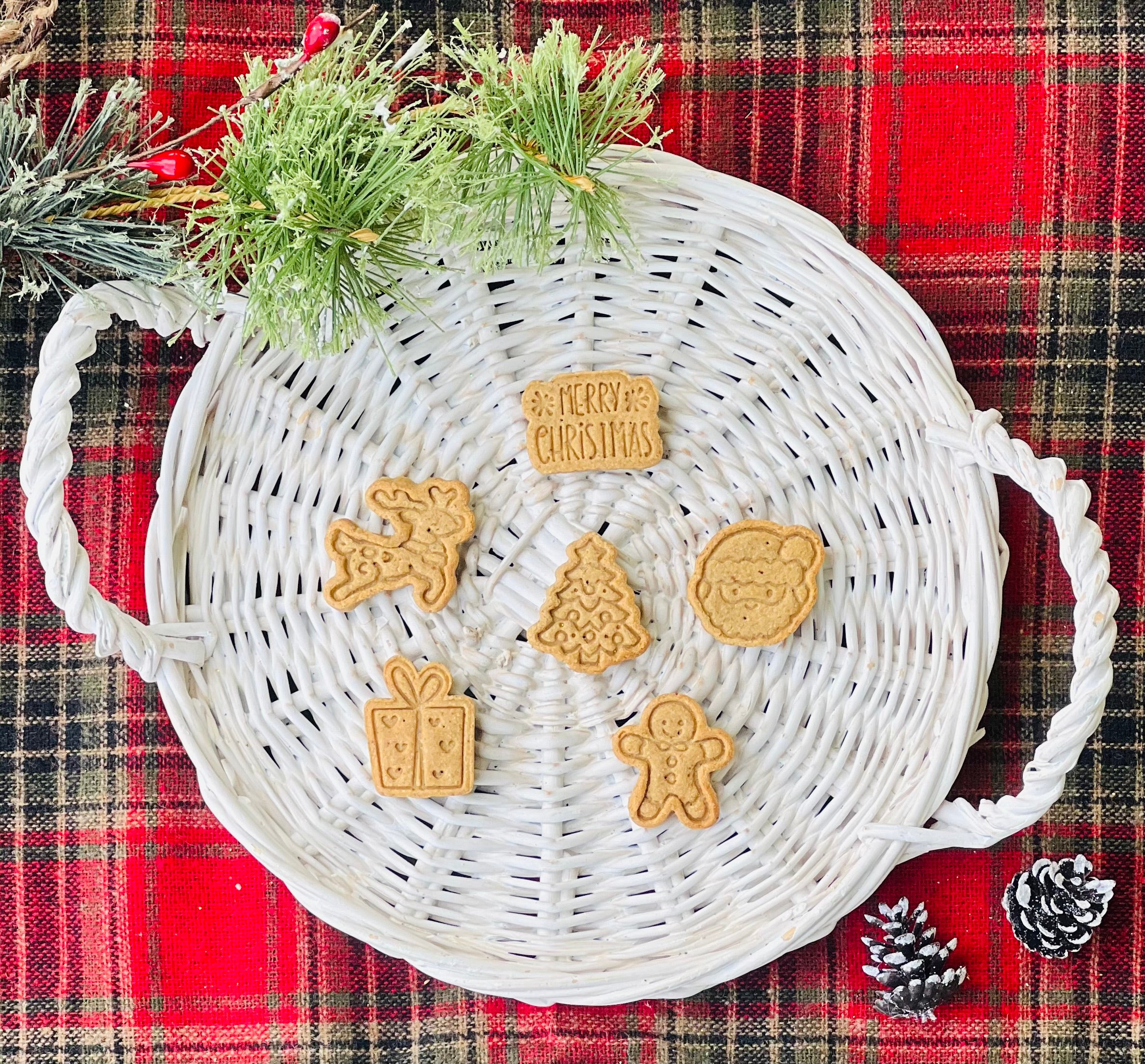 CHRISTMAS MINI BUNDLE – sunshinetreatco